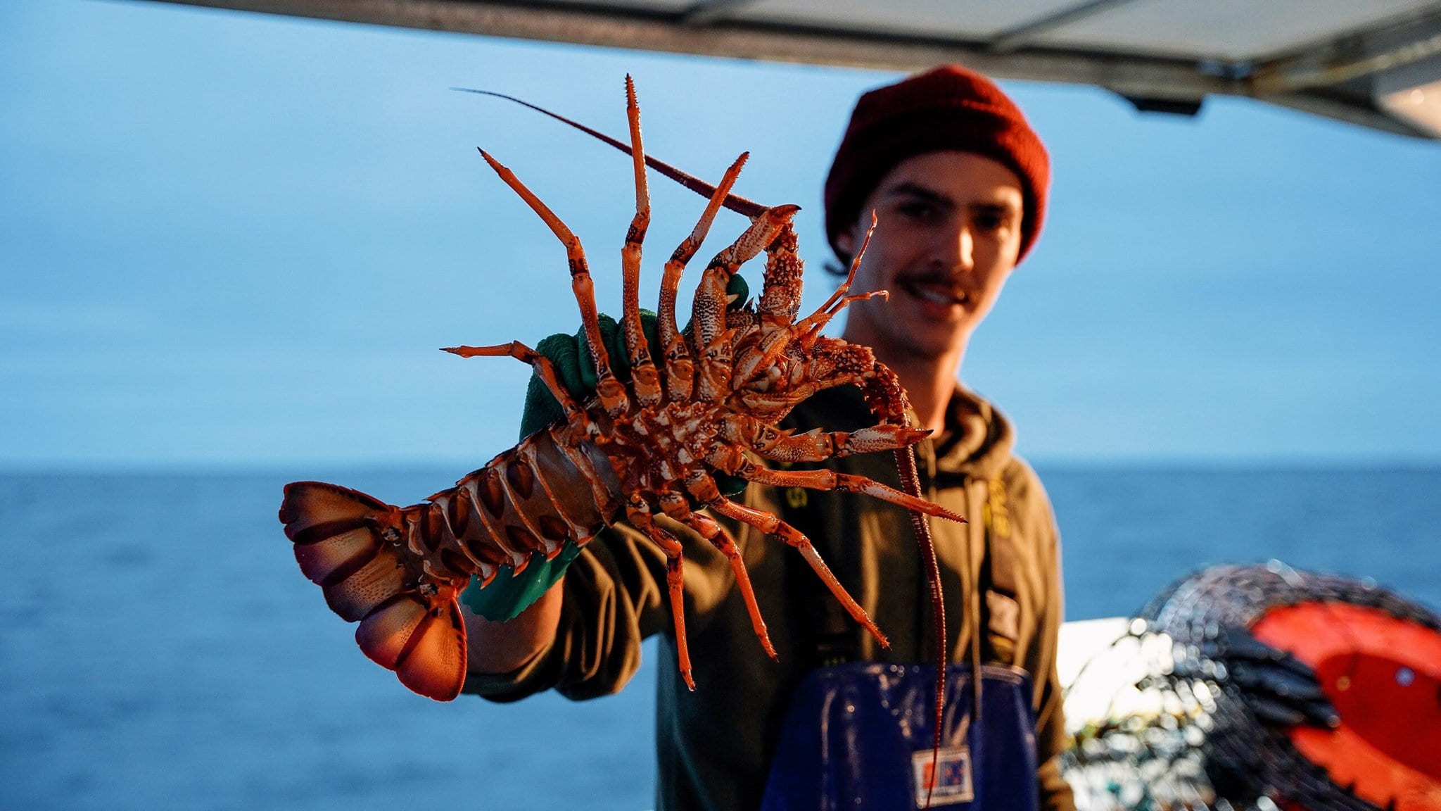 Ultimate Food and Wine Itinerary for Limestone Coast