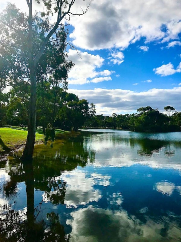 Visit Bordertown on the Limestone Coast, South Australia