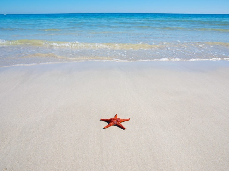 Visit Kingston on the Limestone Coast, South Australia