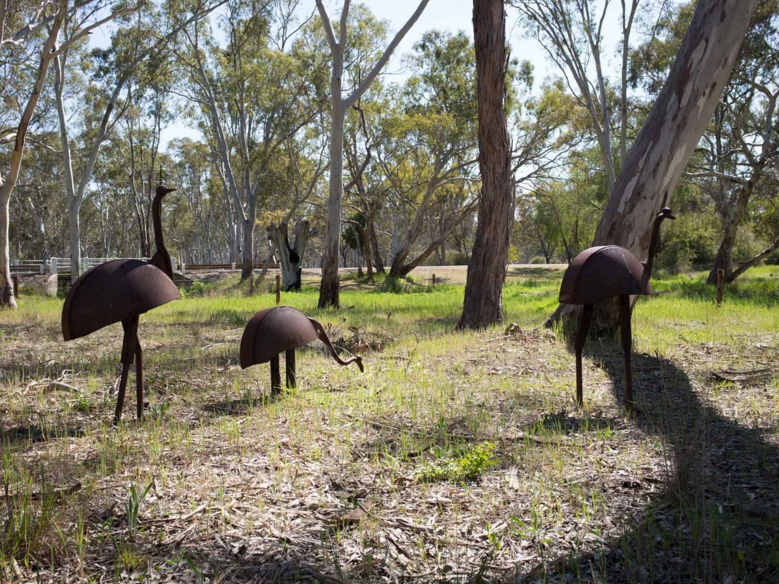 Visit Bordertown on the Limestone Coast, South Australia