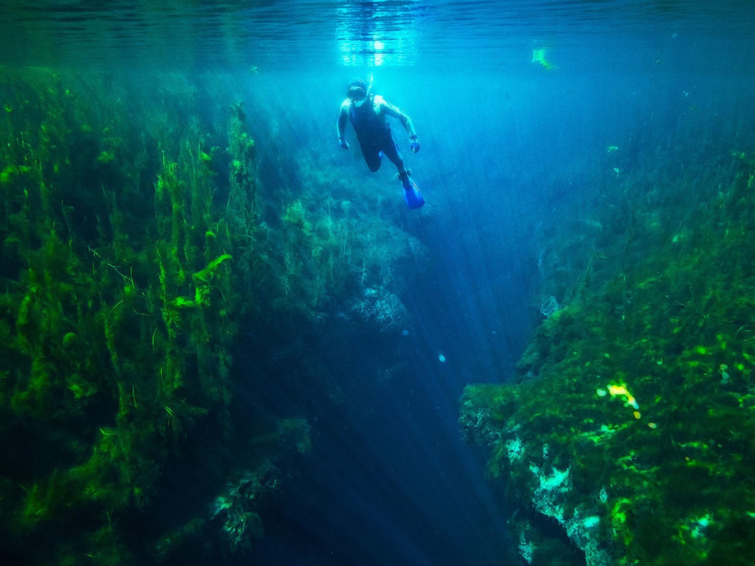 Sinkhole and Swimming Hotspots of the Limestone Coast