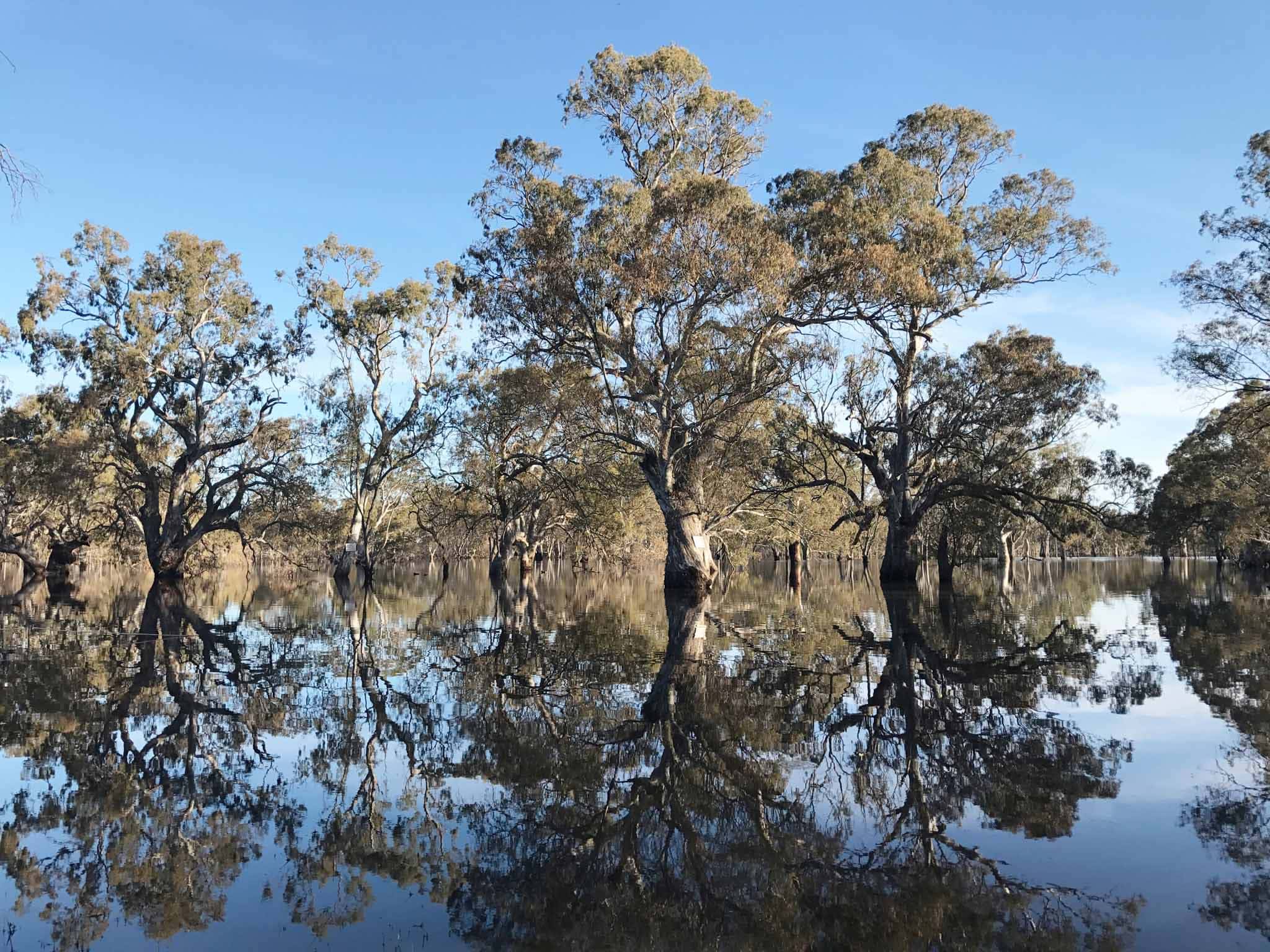 Visit Bordertown on the Limestone Coast, South Australia