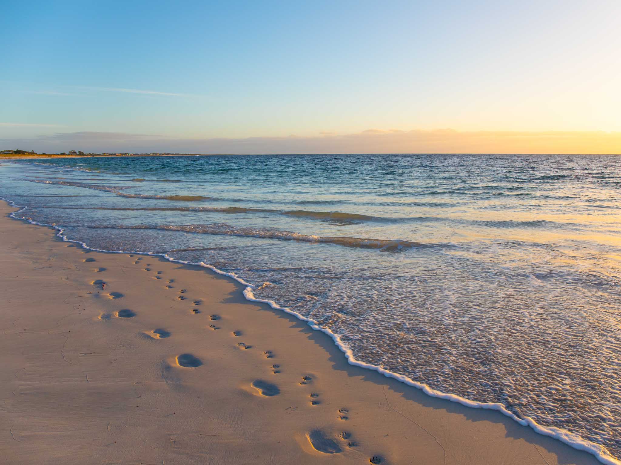 Take Me Too! Our Guide to a Pet Friendly Holiday in the Limestone Coast