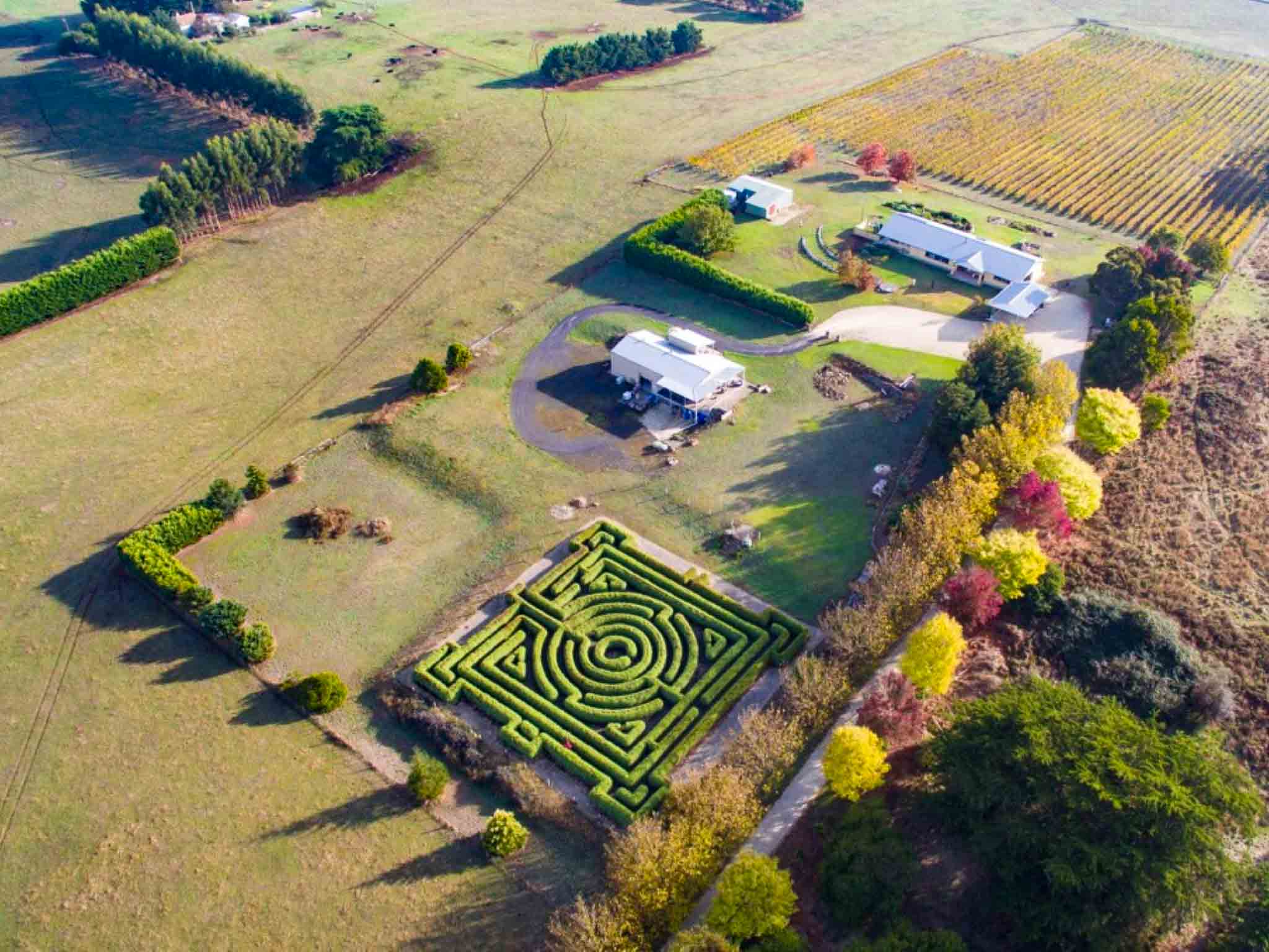 The Complete list of Limestone Coast Wine Regions & Wineries