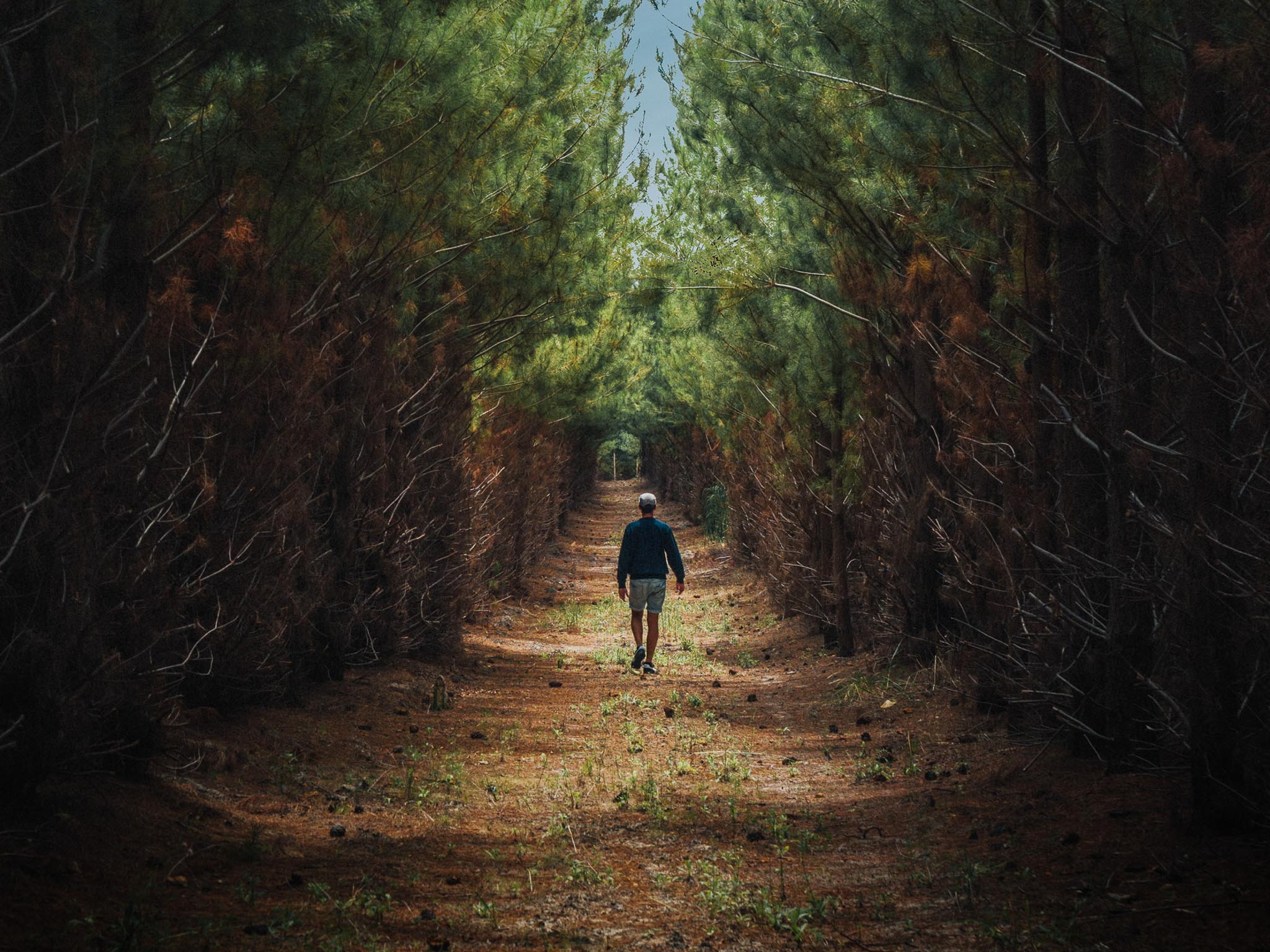 Nurture, nourish and restore your soul in the Limestone Coast