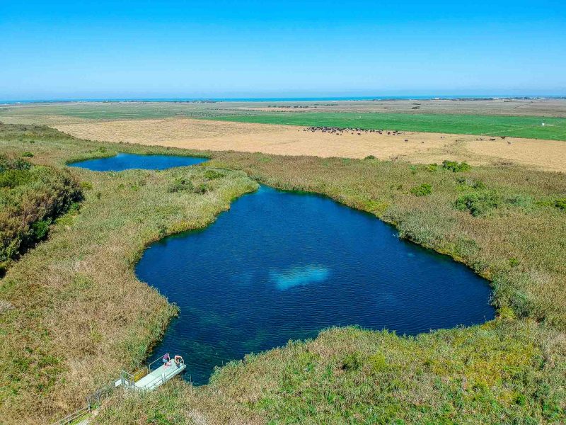 Sinkhole and Swimming Hotspots of the Limestone Coast