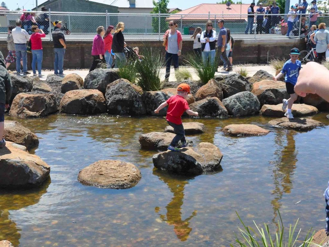 Play and Stay in the Limestone Coast: Our Best Playgrounds