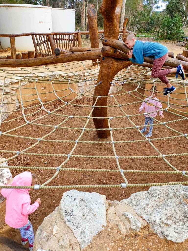 Play and Stay in the Limestone Coast: Our Best Playgrounds