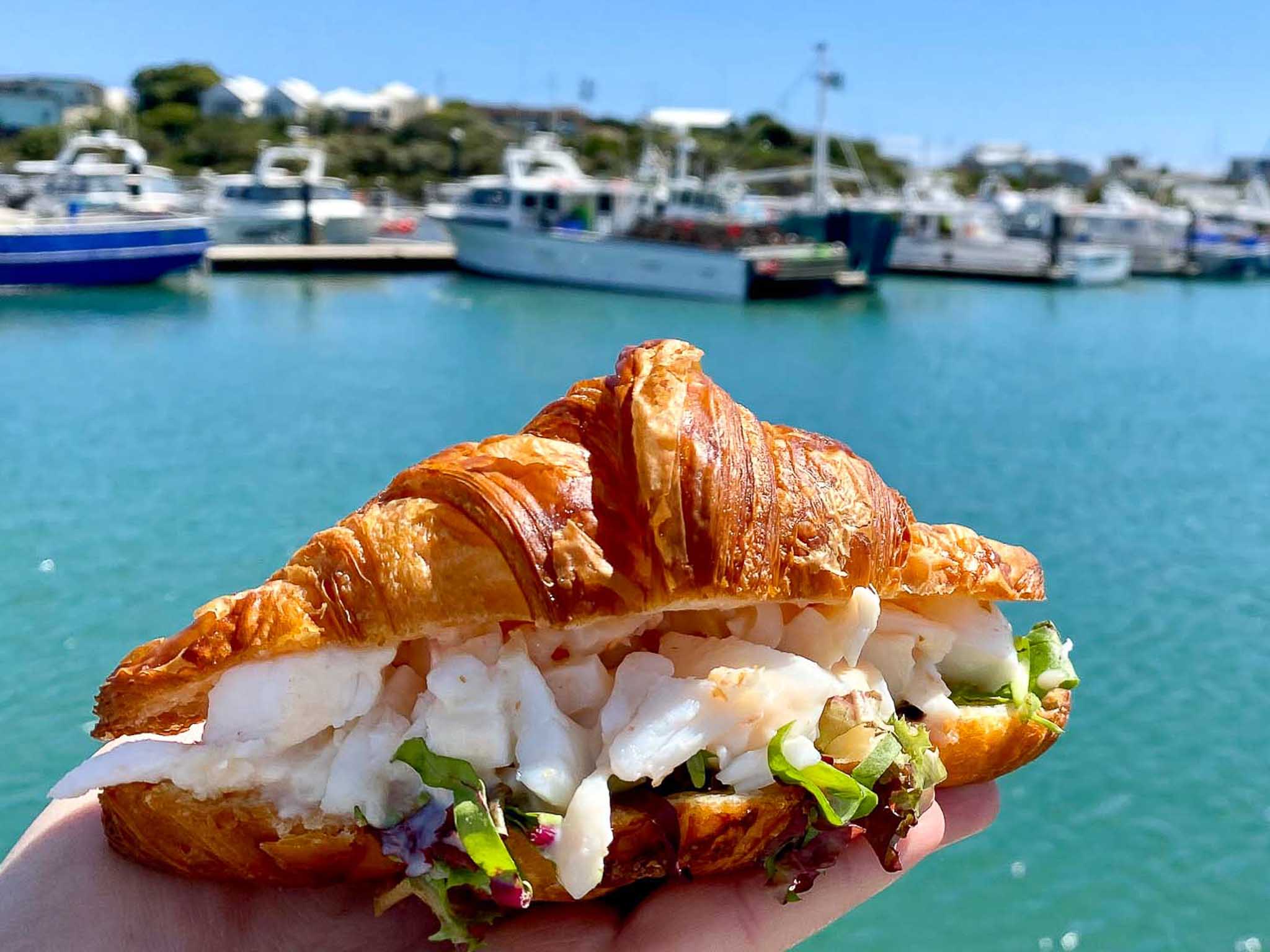 Ultimate Seafood Experiences in the Limestone Coast