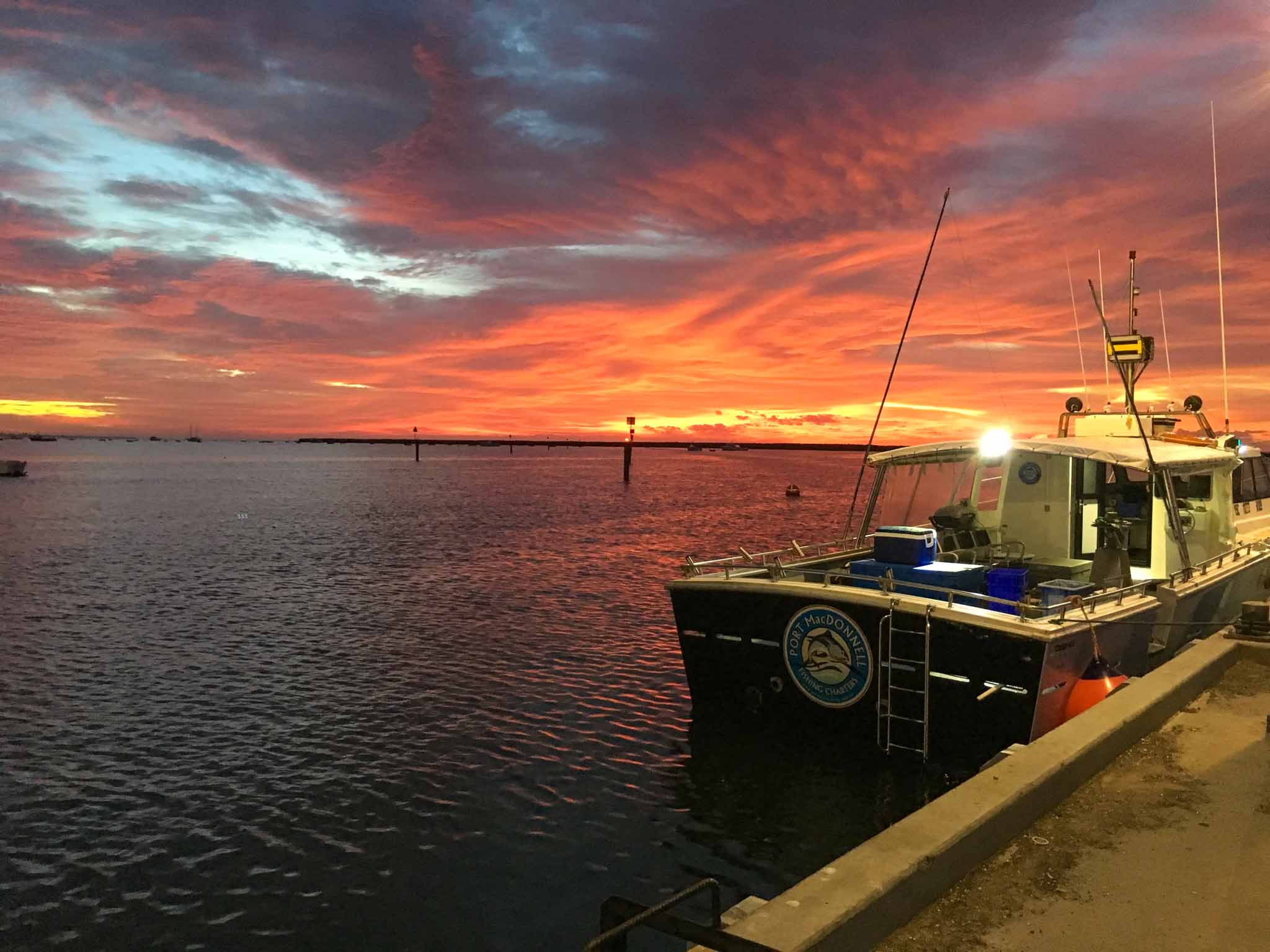 Ultimate Seafood Experiences in the Limestone Coast