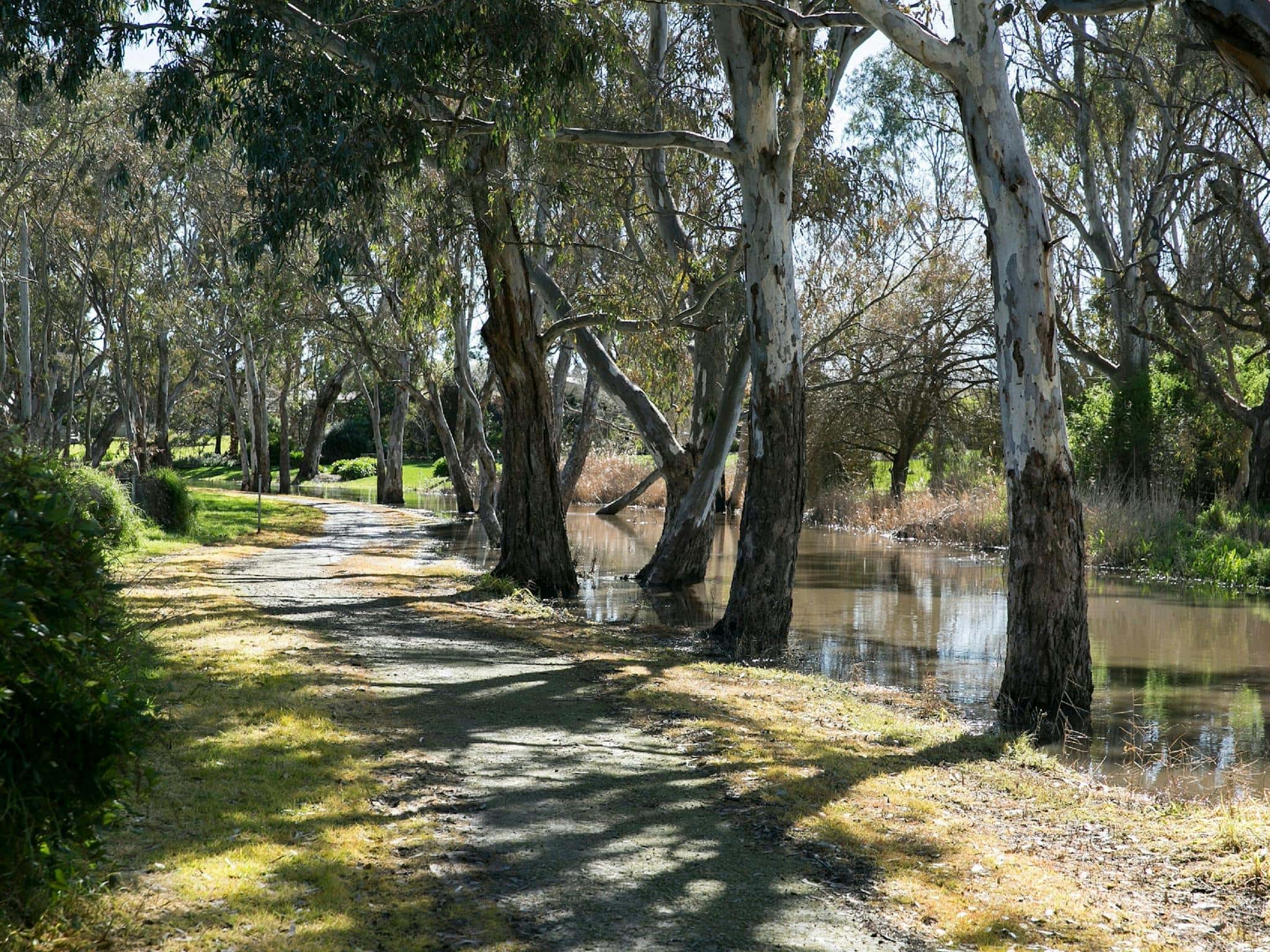 Naracoorte Creek Walk - Limestone Coast