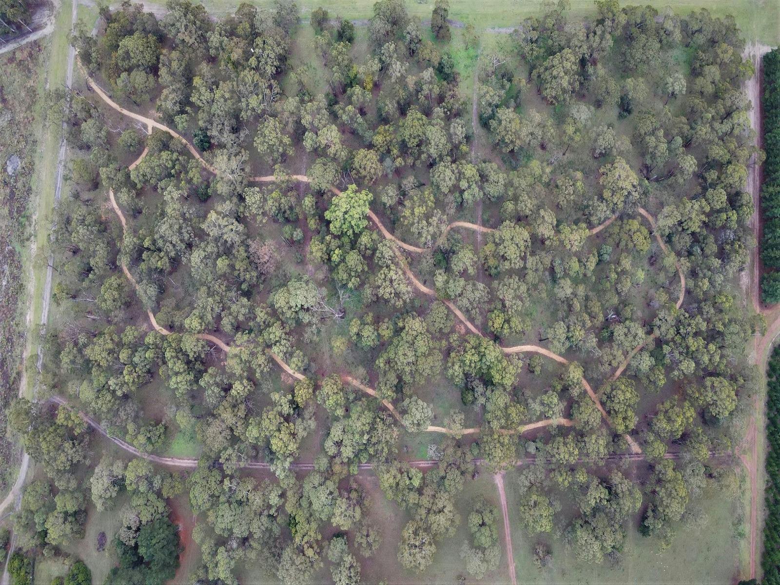 Mount Burr Trails - Limestone Coast