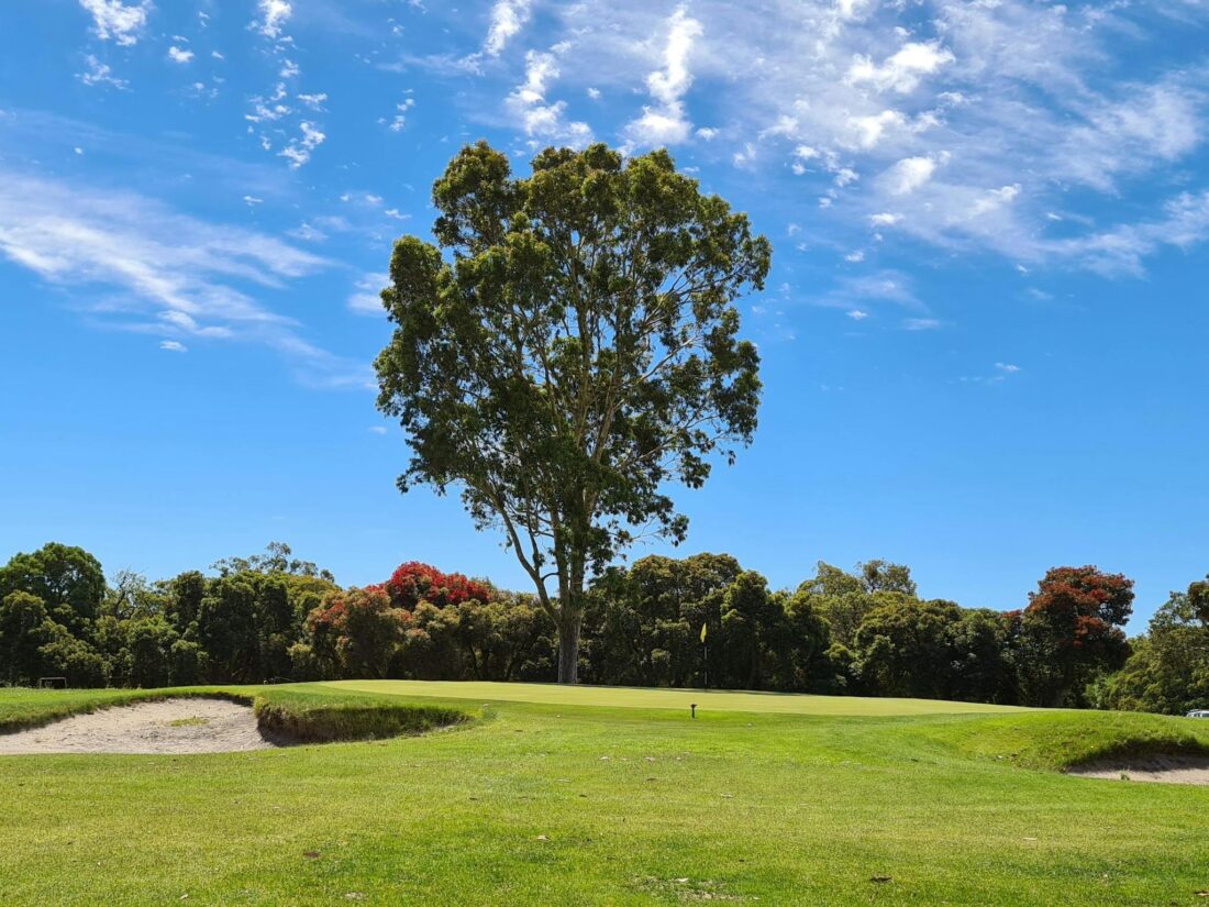 Millicent Golf Club - Limestone Coast