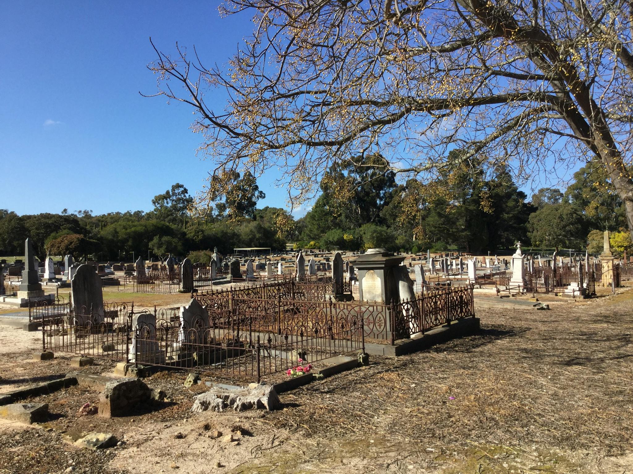 Naracoorte Cemetery - Limestone Coast