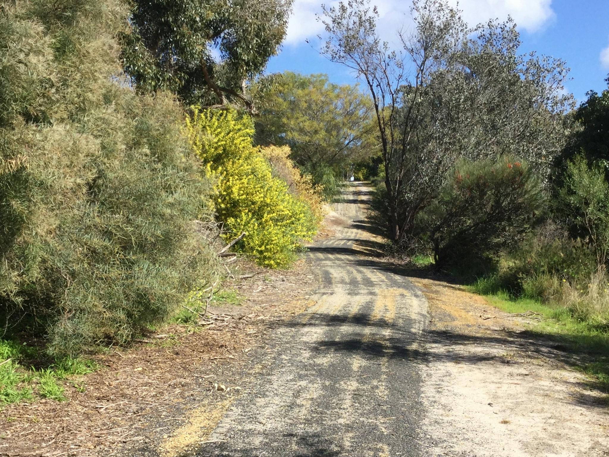 Naracoorte North Nature Park - Limestone Coast