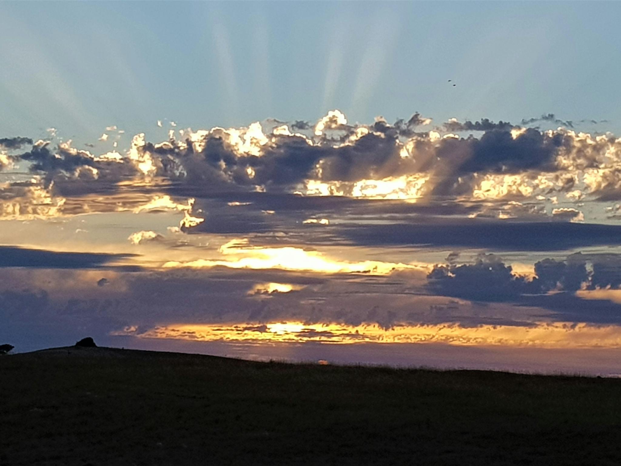 Rendelsham - Limestone Coast
