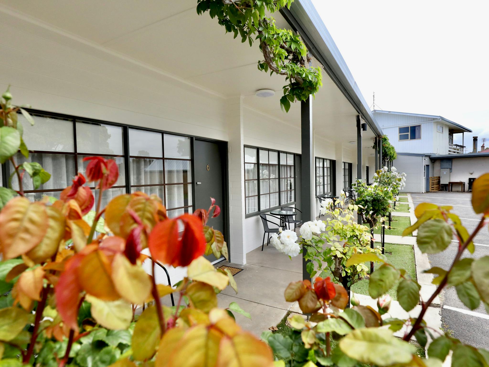 Guichen Bay Motel - Limestone Coast