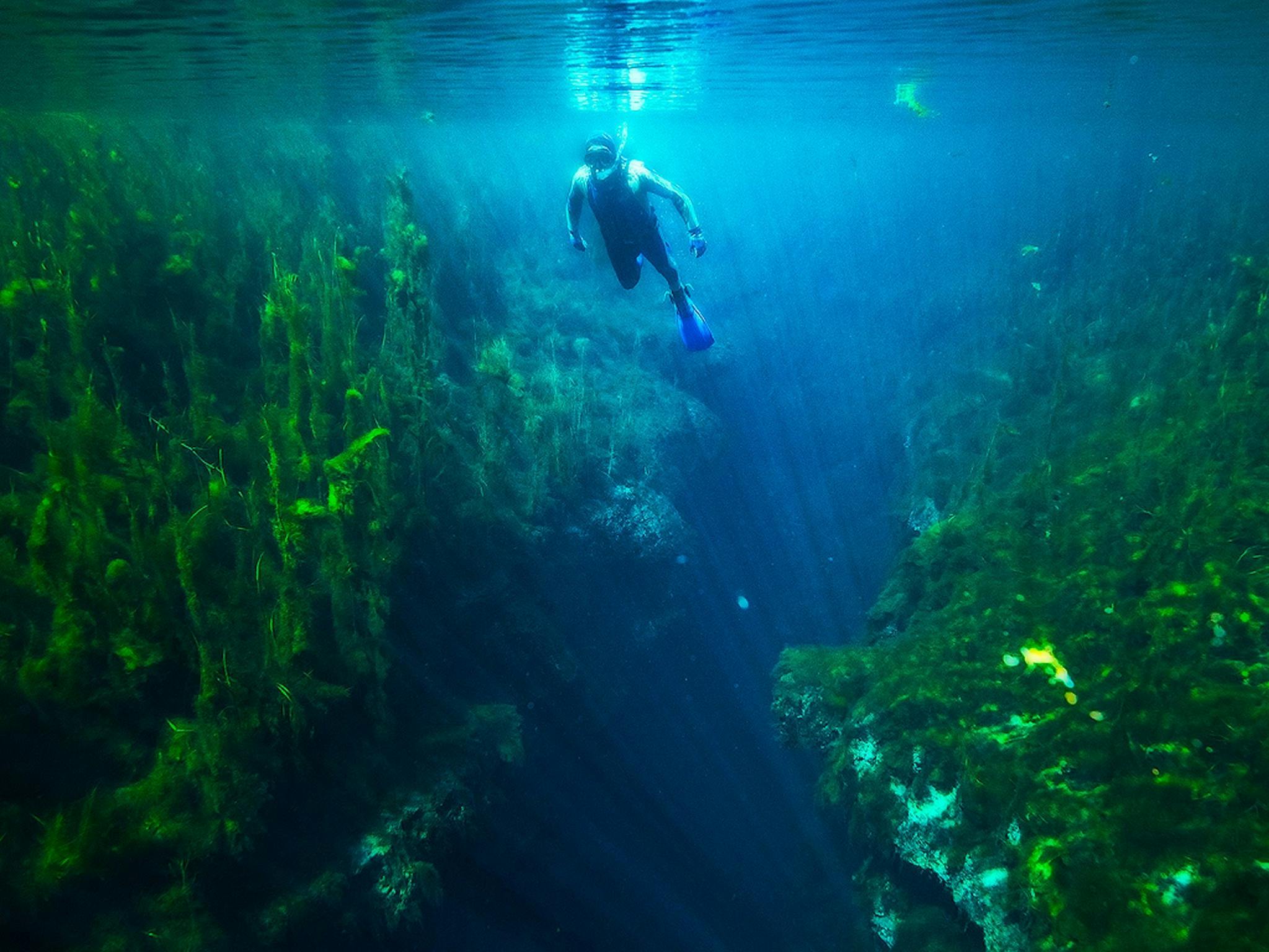 Piccaninnie Ponds Conservation Park - Limestone Coast